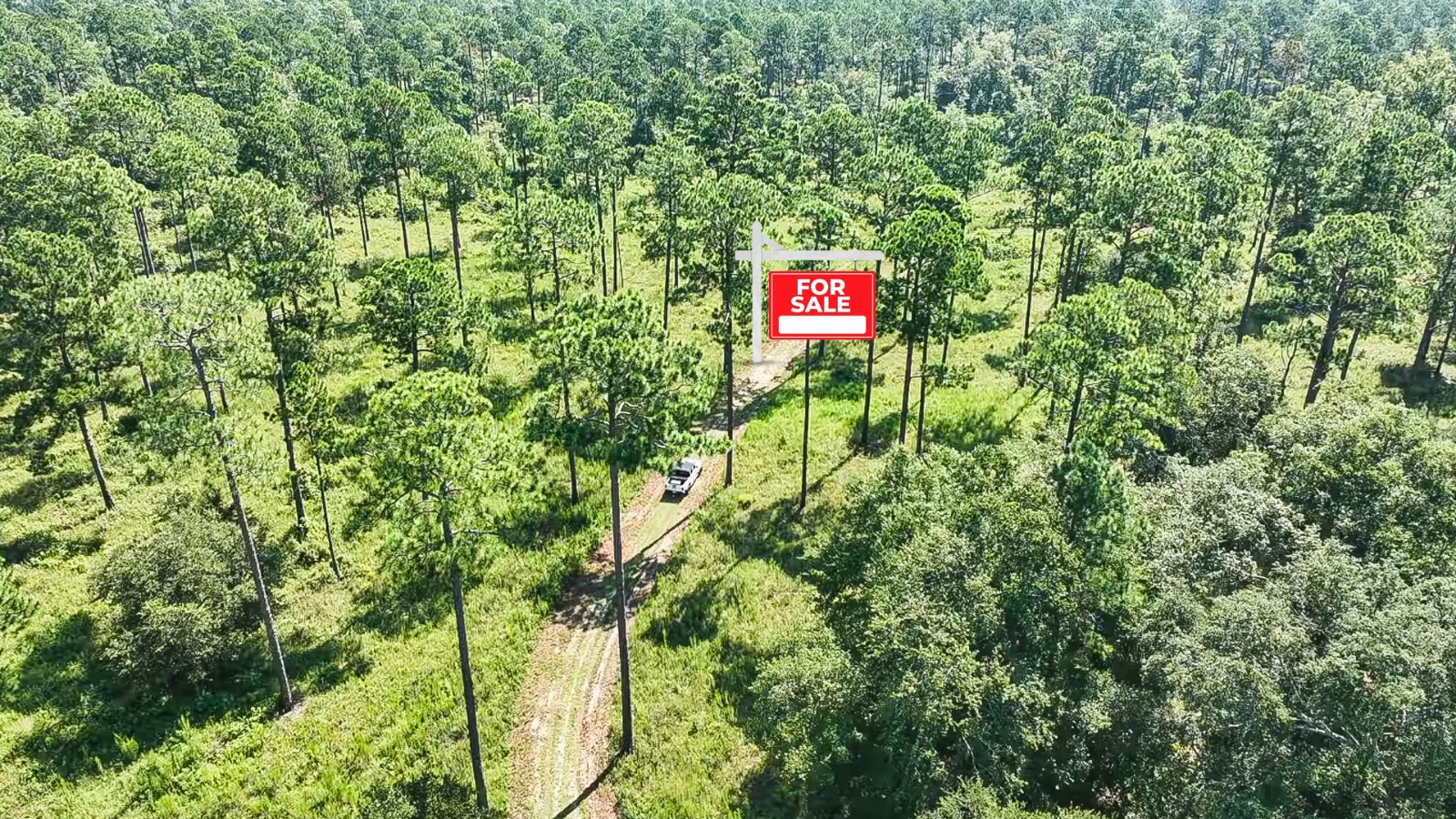 Discover How Much Is an Acre Worth in Georgia in 2024
