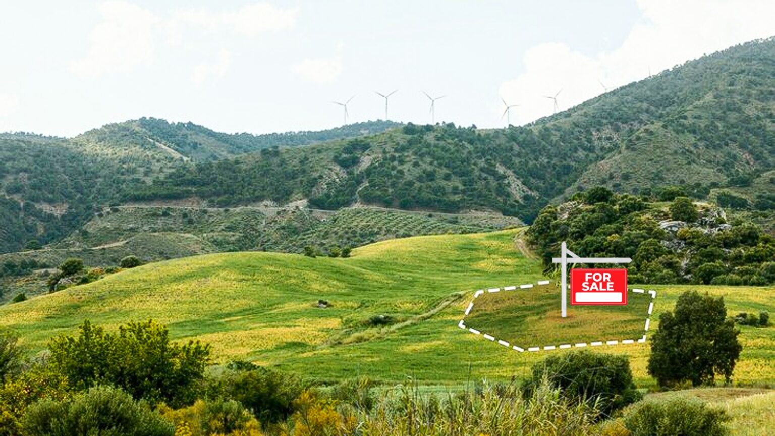 Discover How Much Is an Acre Worth in Georgia in 2024